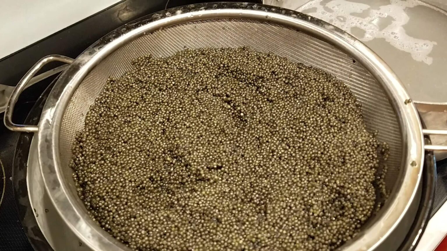 Can You Eat Paddlefish? Everything You Need To Know - Survival Hax