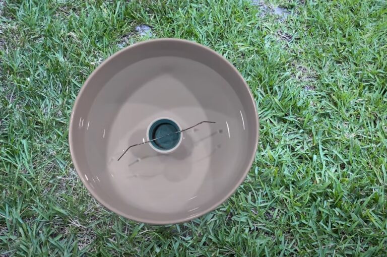 How Do You Make a Compass in the Wild Using Natural Materials?