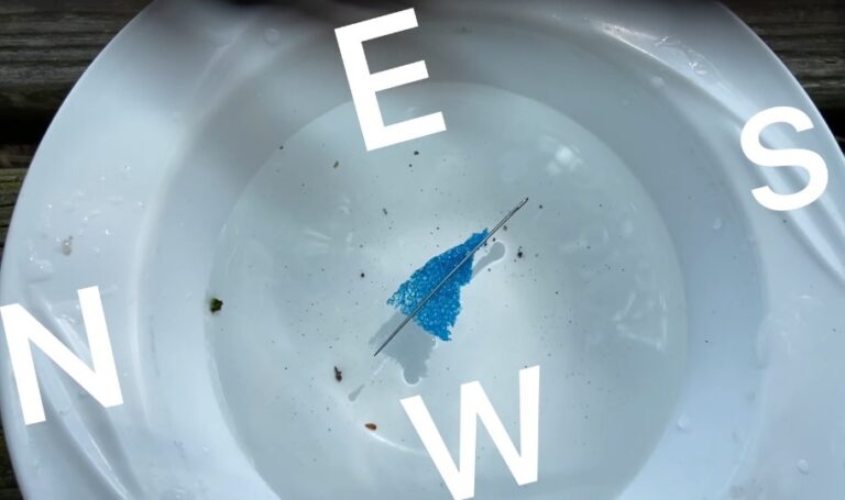 How Do You Make a Compass in the Wild Using Natural Materials?
